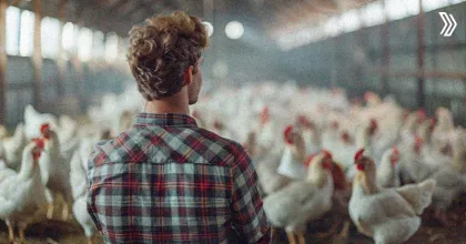 Importance of Feed Conversion Ratio (FCR) in Poultry Farming | Livine