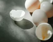 Hatchery Management Software | Livine Poultry Software