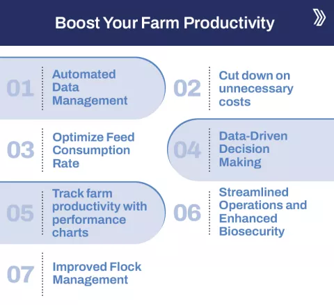 Boost Farm Productivity in 7 Ways with Poultry Software | Livine