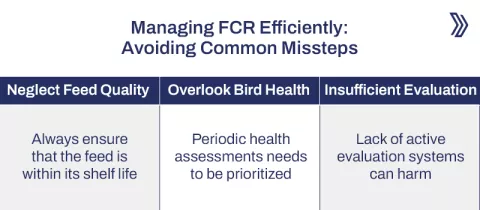 Importance of Feed Conversion Ratio (FCR) in Poultry Farming | Livine